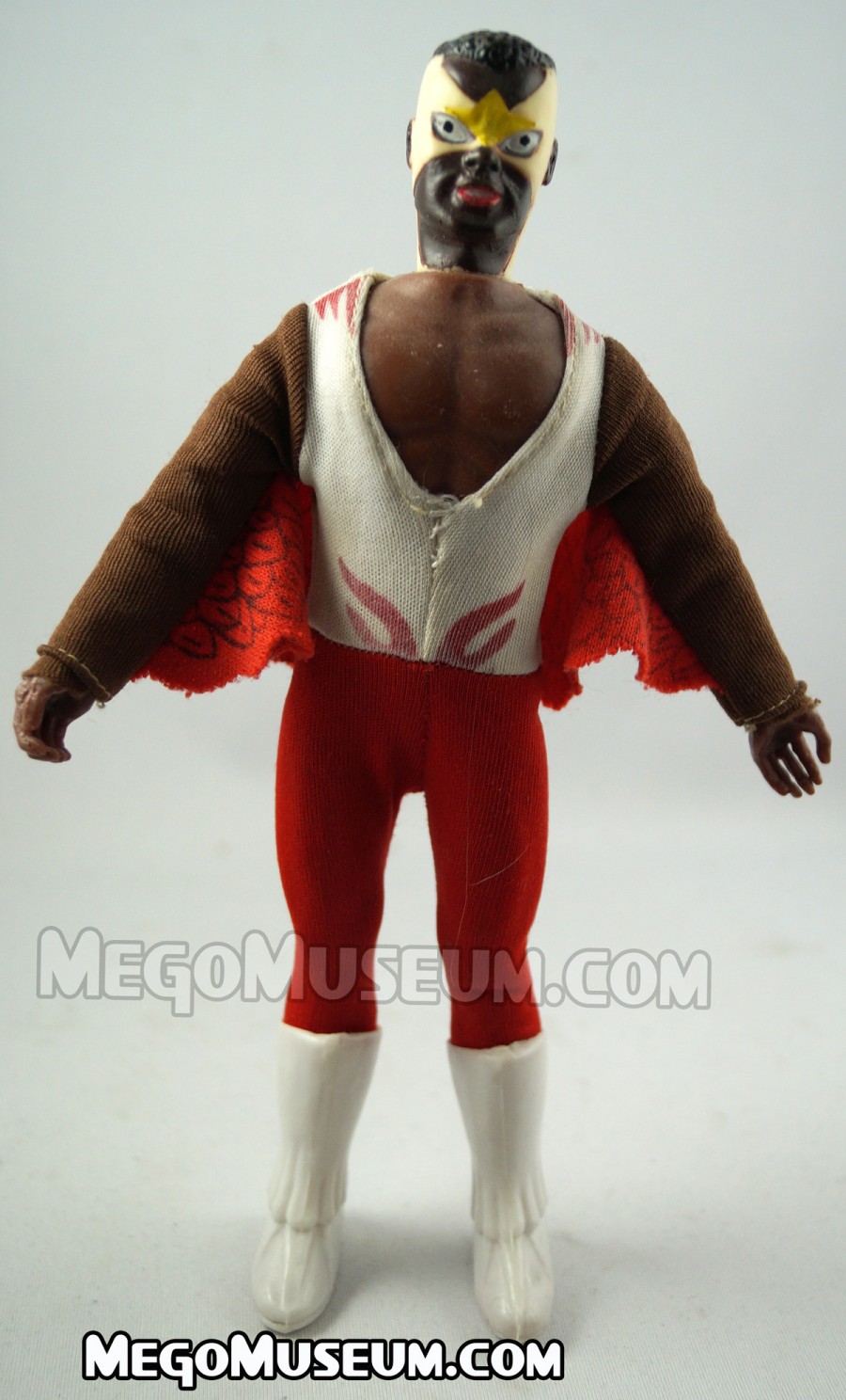Falcon – Mego Museum Galleries